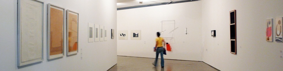 Atención: Estrategias para percibir el arte - MAM