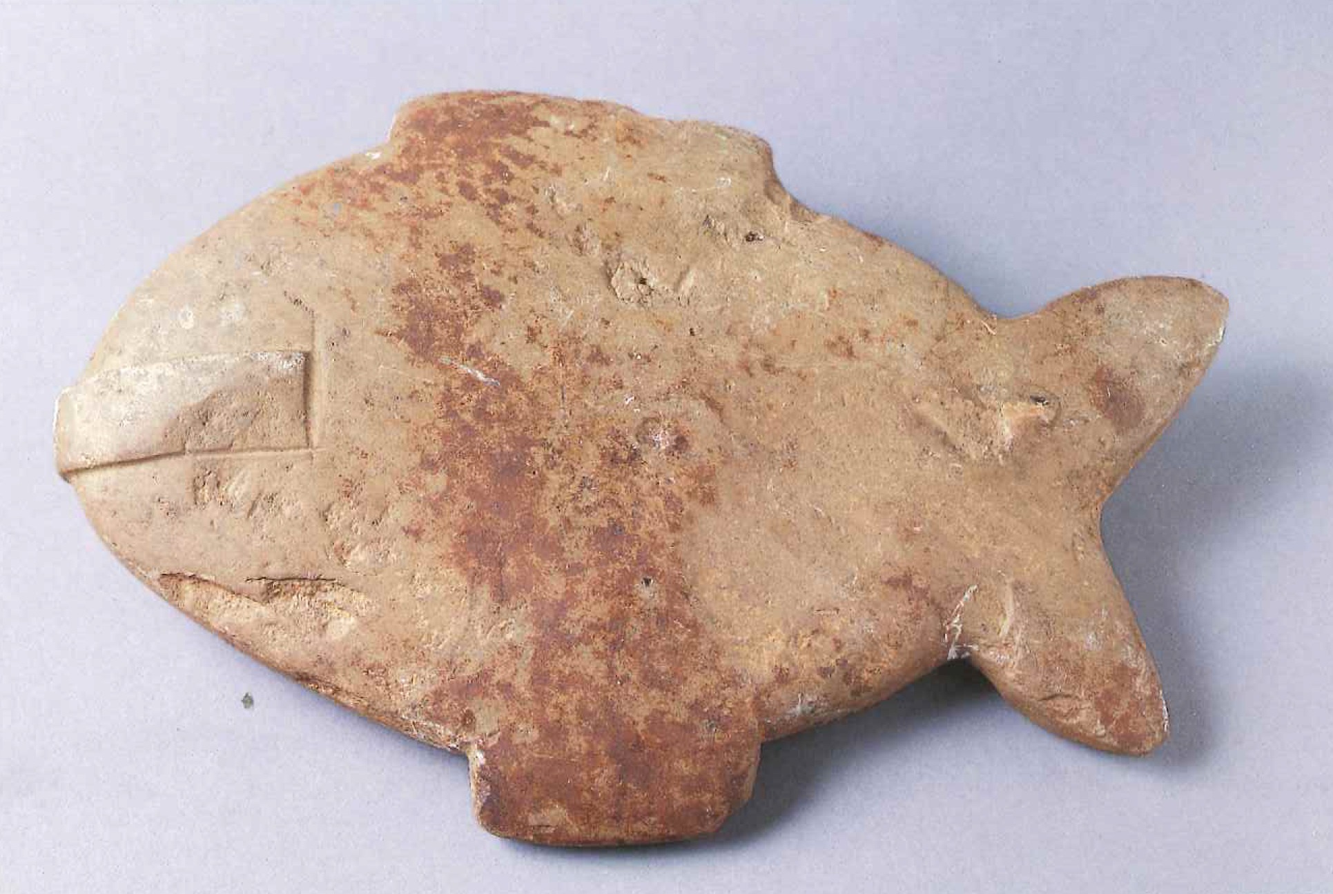 34º Panorama da Arte Brasileira | MAM