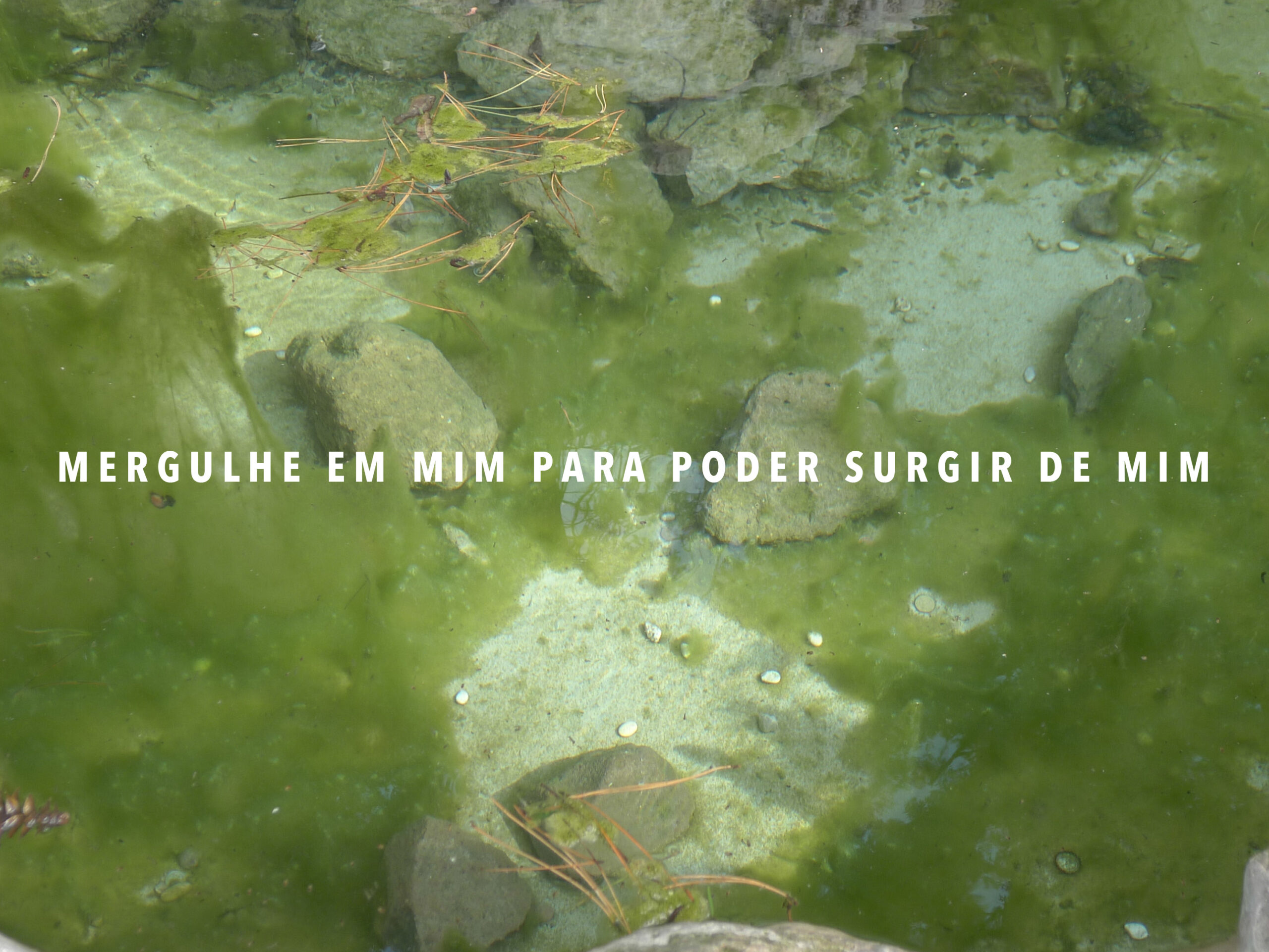 Marcia Xavier: "Dive into me, so that you can emerge from me" - MAM