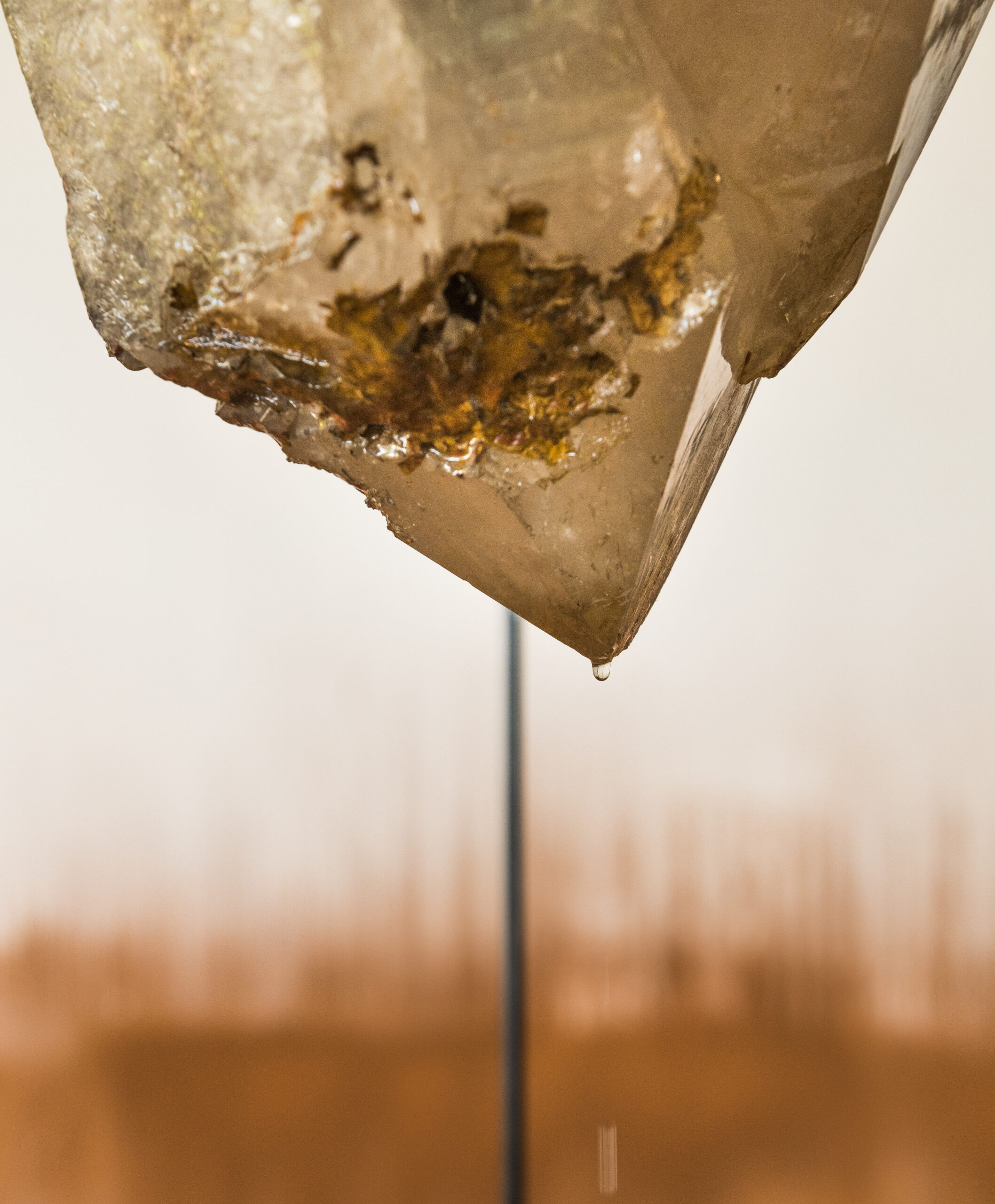 Eu você e a lua, contação de história com Luna dy Córtes e Amanza - MAM